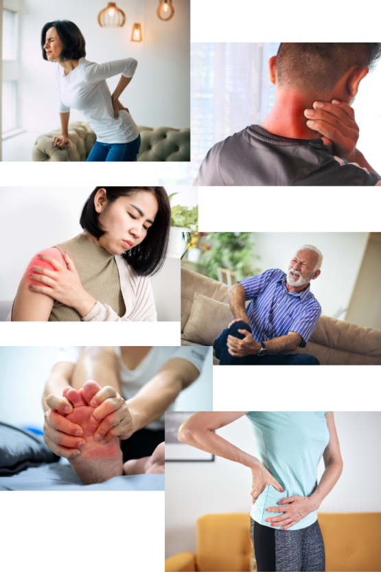 The Science Behind Physiotherapy